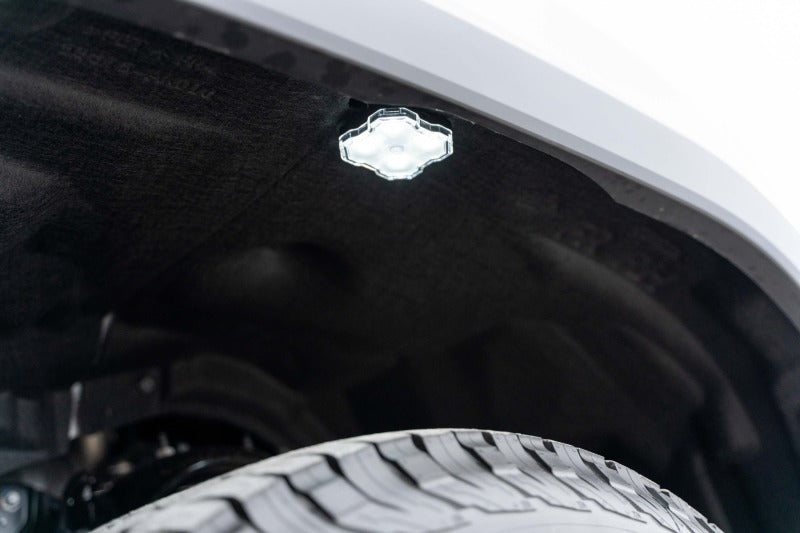 Diode Dynamics Single-Color Rock Light Installer Magnet Mount Kit (12 ...